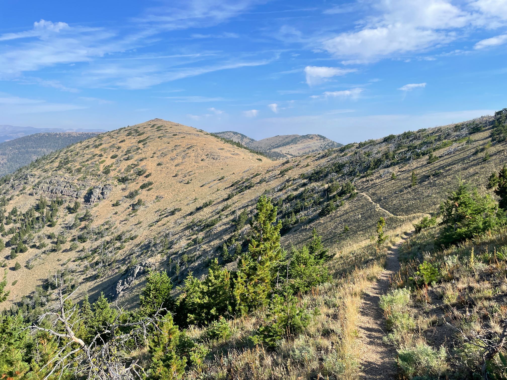 Every Mile I Hiked Today - Continental Divide Trail