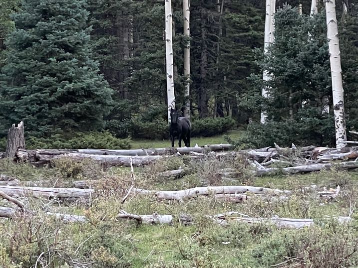 Hide And Go Hike - Continental Divide Trail