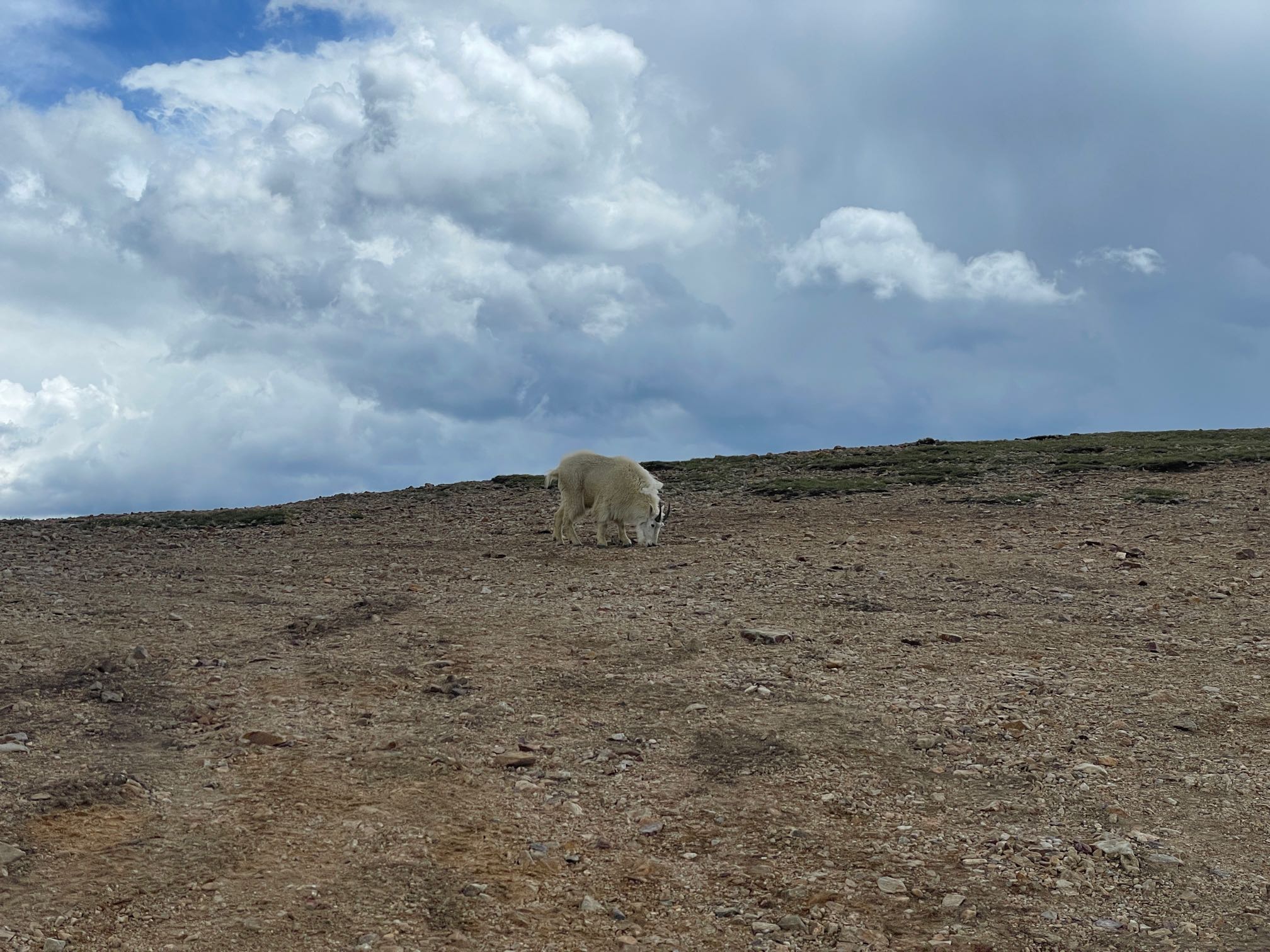 So Long Colorado Trail - Continental Divide Trail