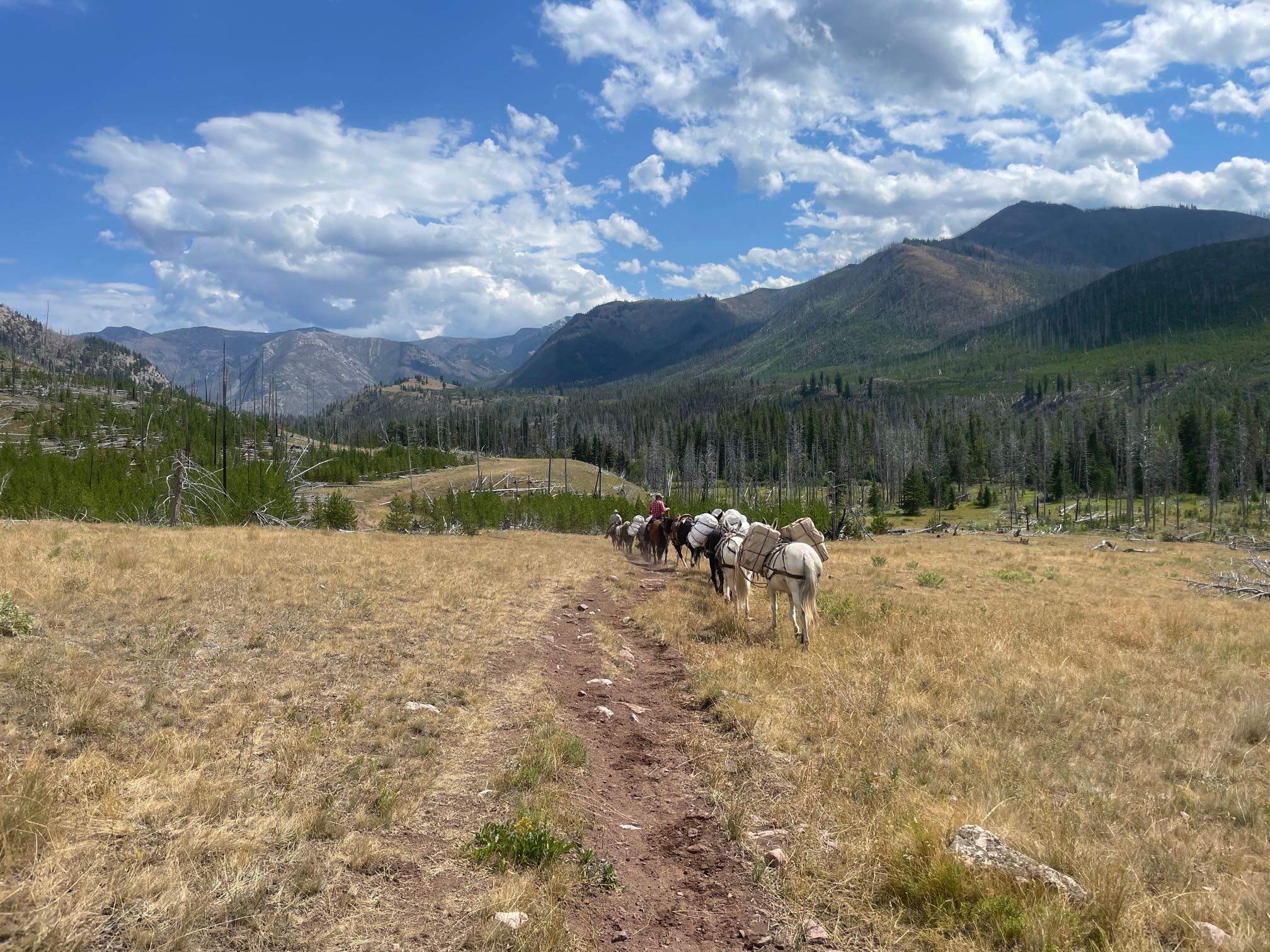 The Great Wall - Continental Divide Trail